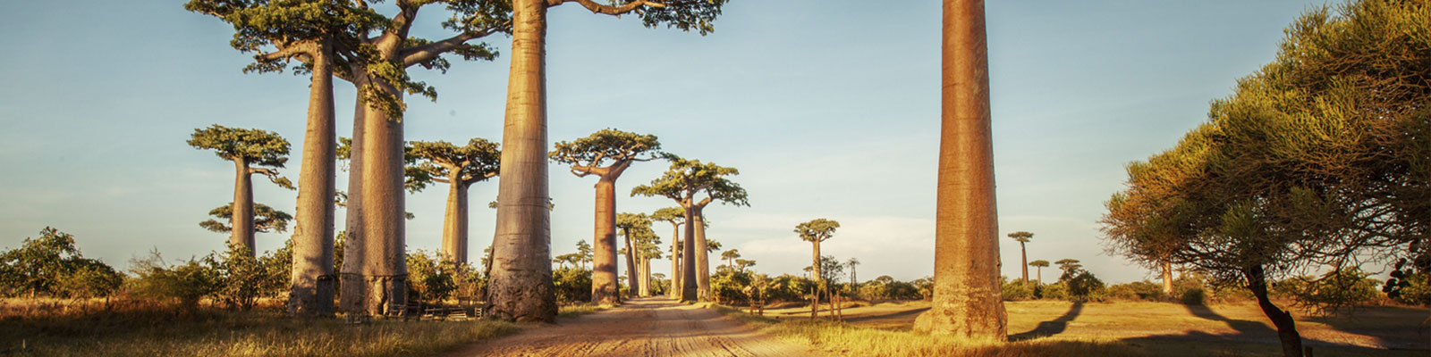 Circuitos por Madagascar - Viajes El Corte Inglés